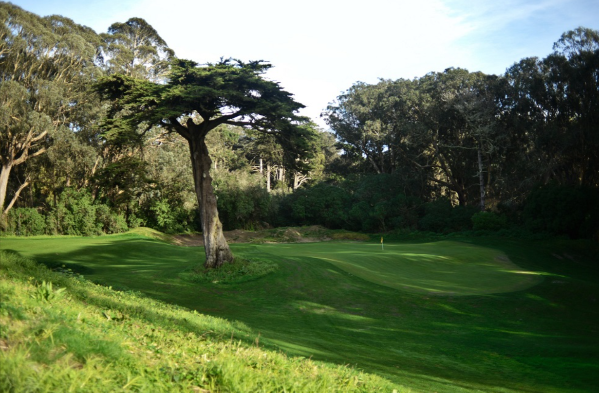 Gallery - Golden Gate Park Golf Course