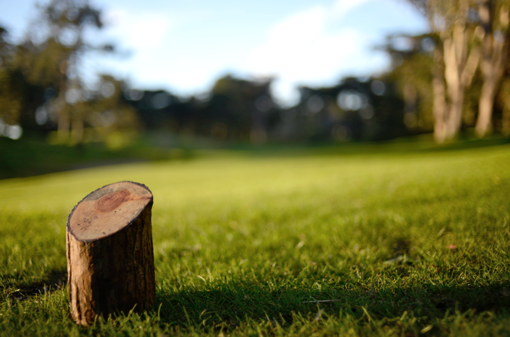 Home - Golden Gate Park Golf Course