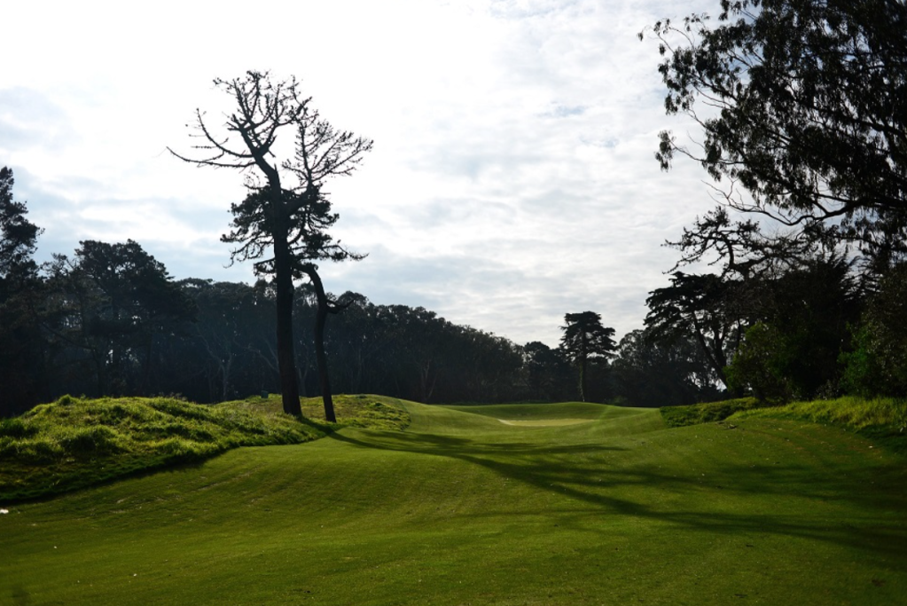 Gallery - Golden Gate Park Golf Course